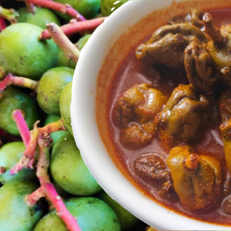 Girige Appemidi Mango Grafted Plant (Large) - Plantsville.in