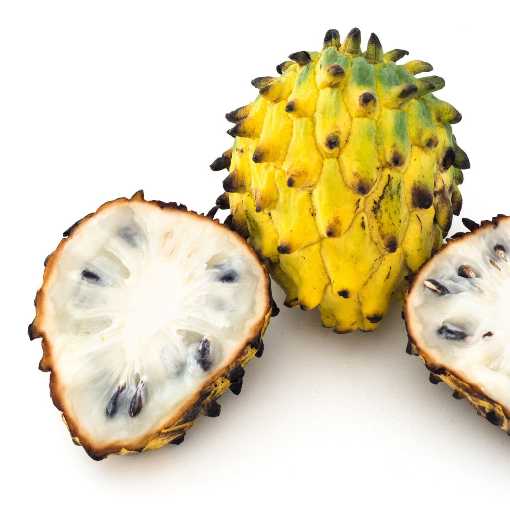 Biriba - Plantsville.in